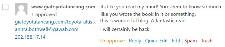 Blog Comment Spam - Website Development